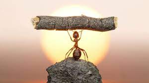 Ways You Can Win In Life